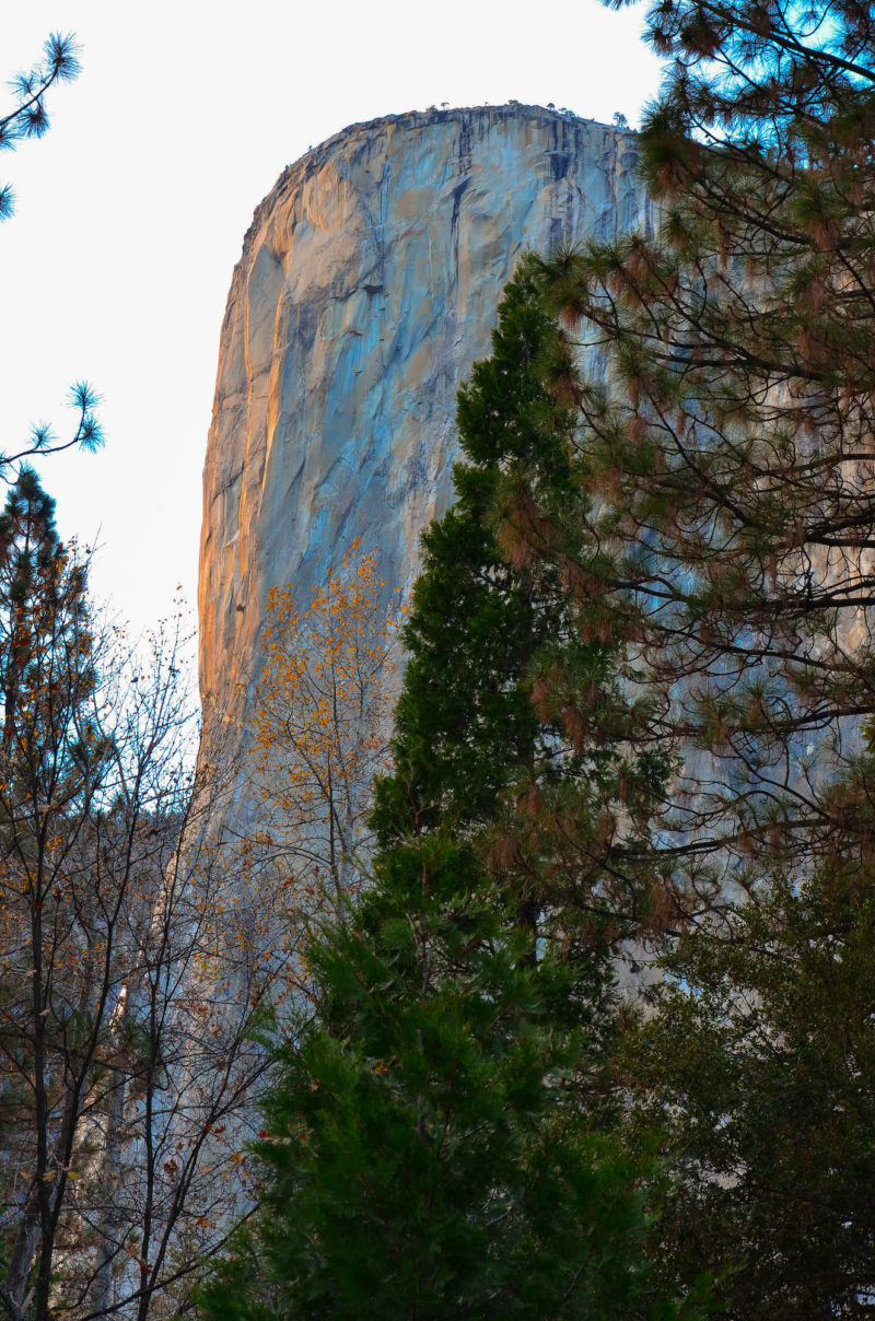 A house built with love | Elizabeth Donald